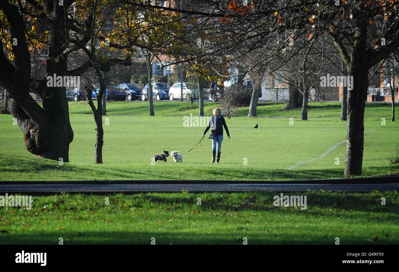 A general view of Tooting Common in south west London, where a Lemur ...