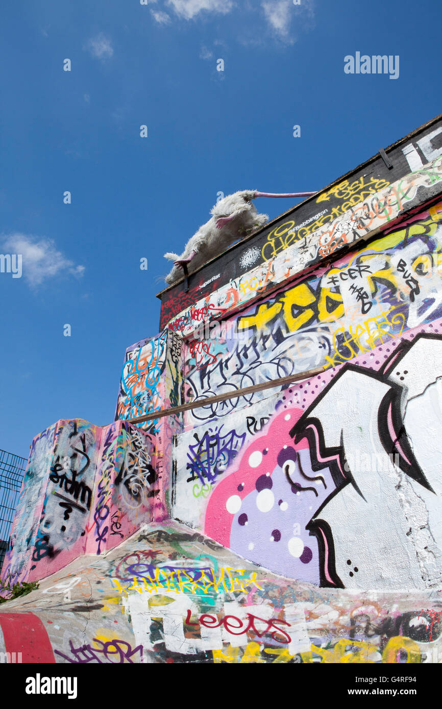 Art murals & graffiti around Gin Lane in Liverpool, Merseyside, UK ...