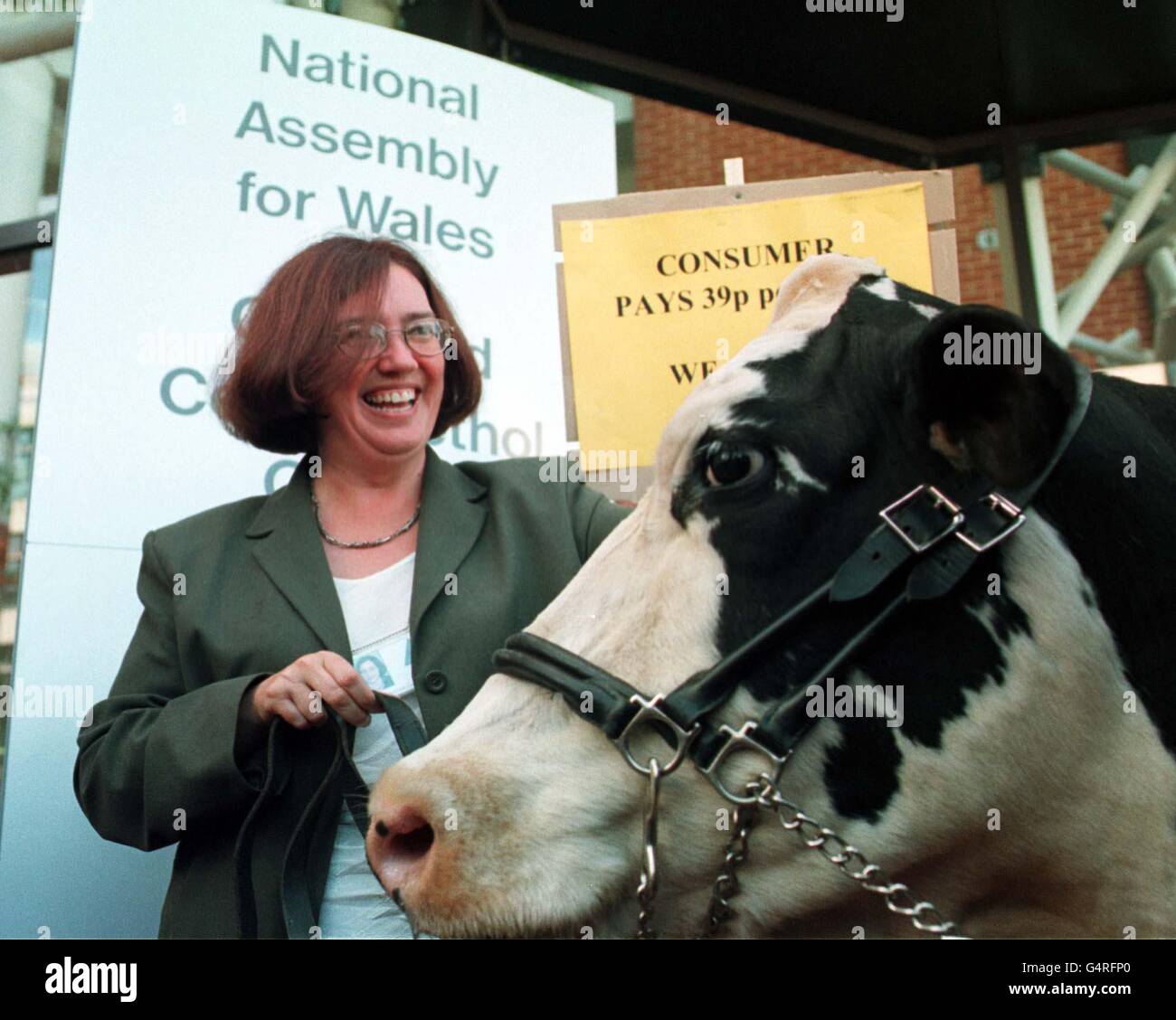 The Welsh Agriculture Secretary Christine Gwyther with a prize cow ...