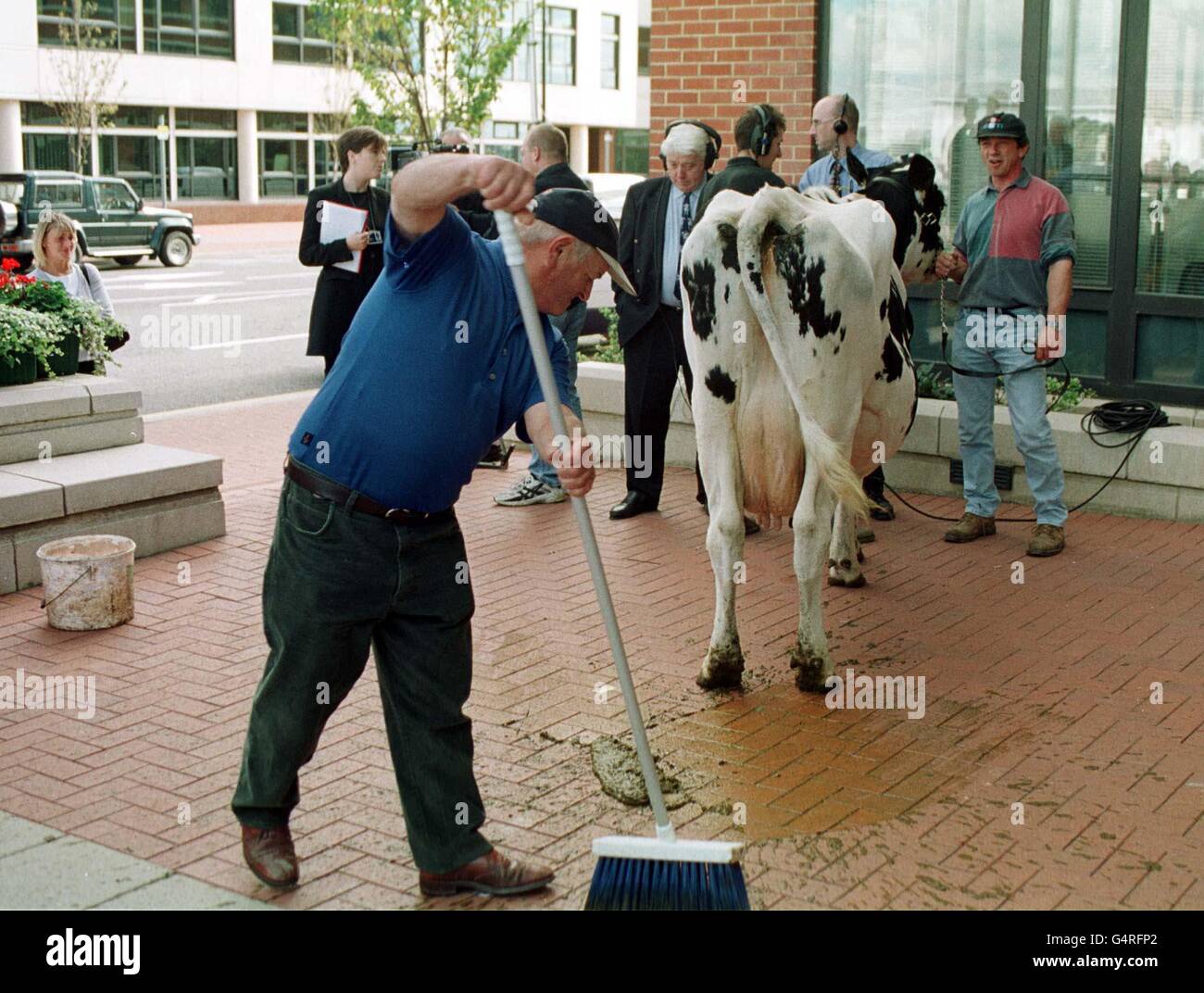 A prize cow was delivered to the Welsh Assembly, Cardiff, in protest of ...