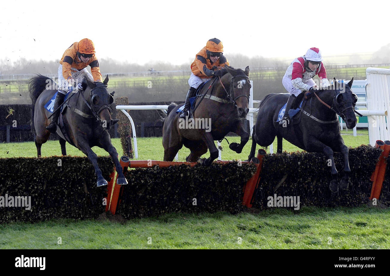 Horse Racing - Catterick Racecourse Stock Photo - Alamy