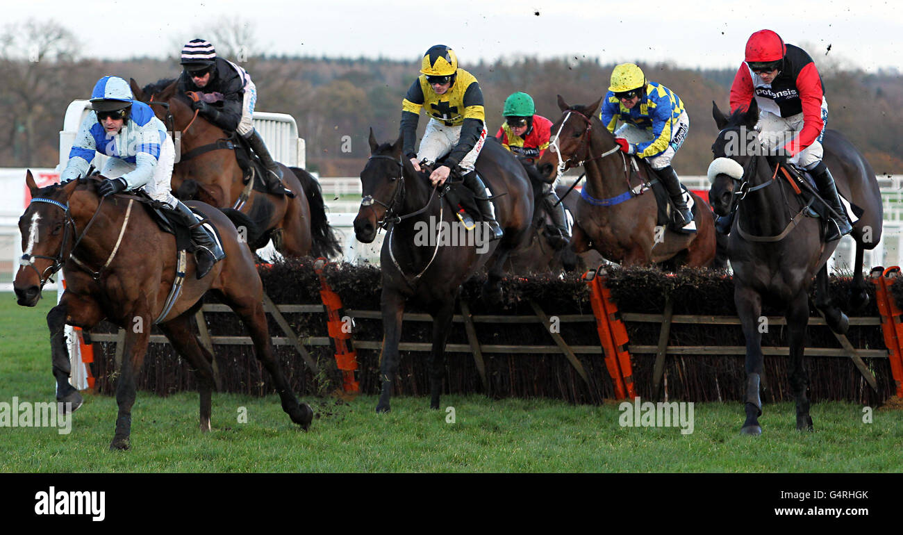 Big bucks horse hi-res stock photography and images - Alamy