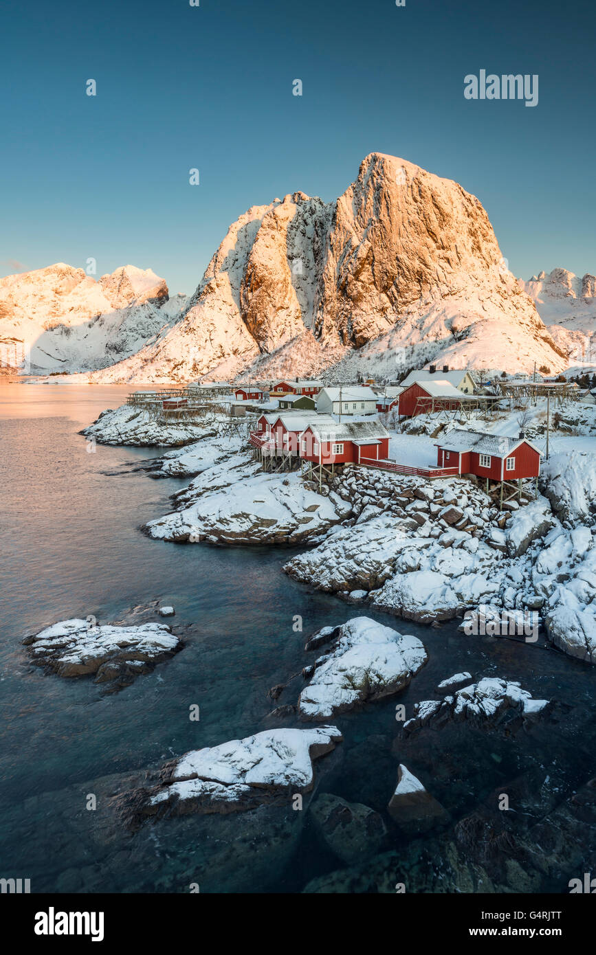 Rorbus High Resolution Stock Photography and Images - Alamy