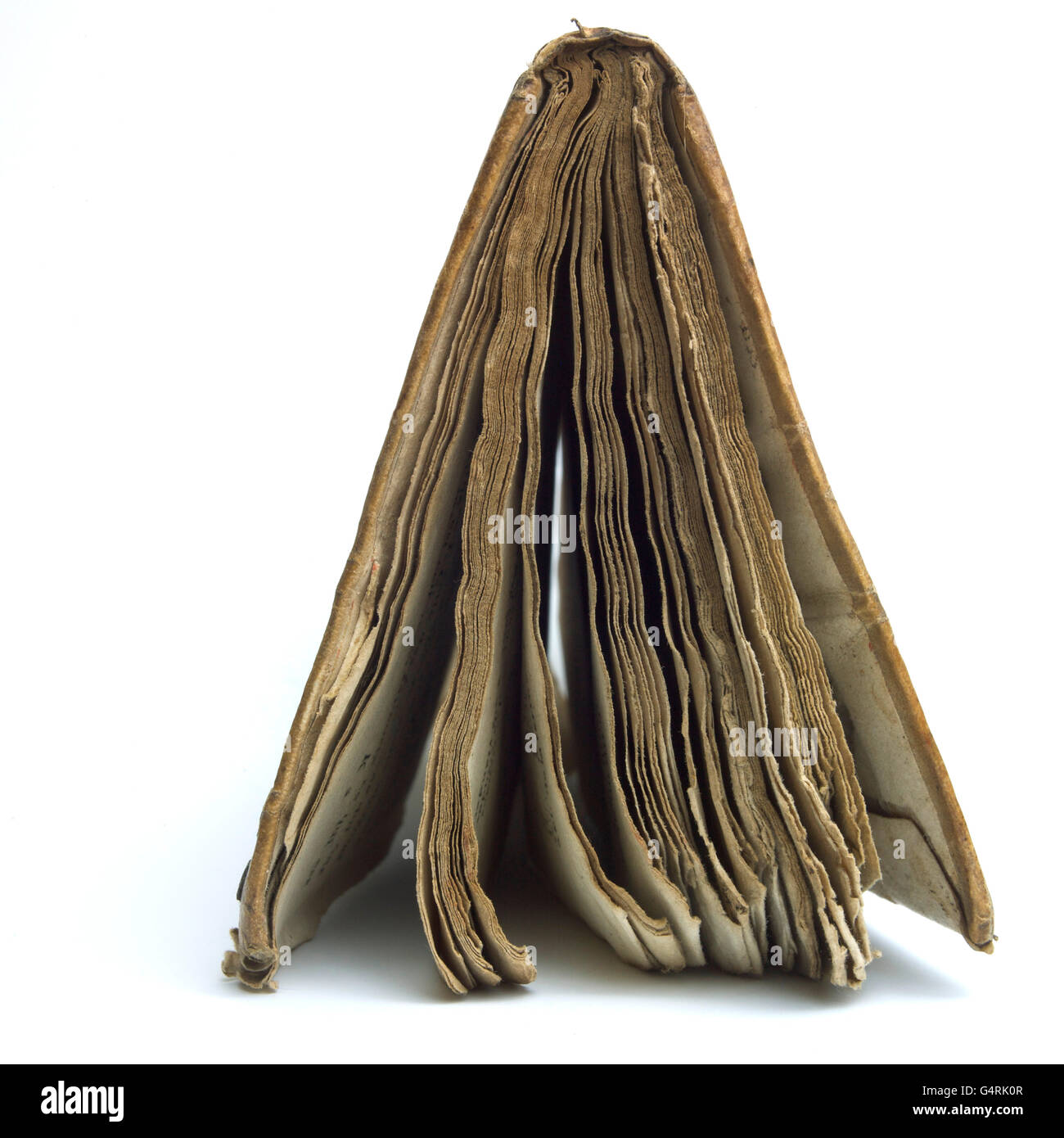 Book inside book Cut Out Stock Images & Pictures - Alamy