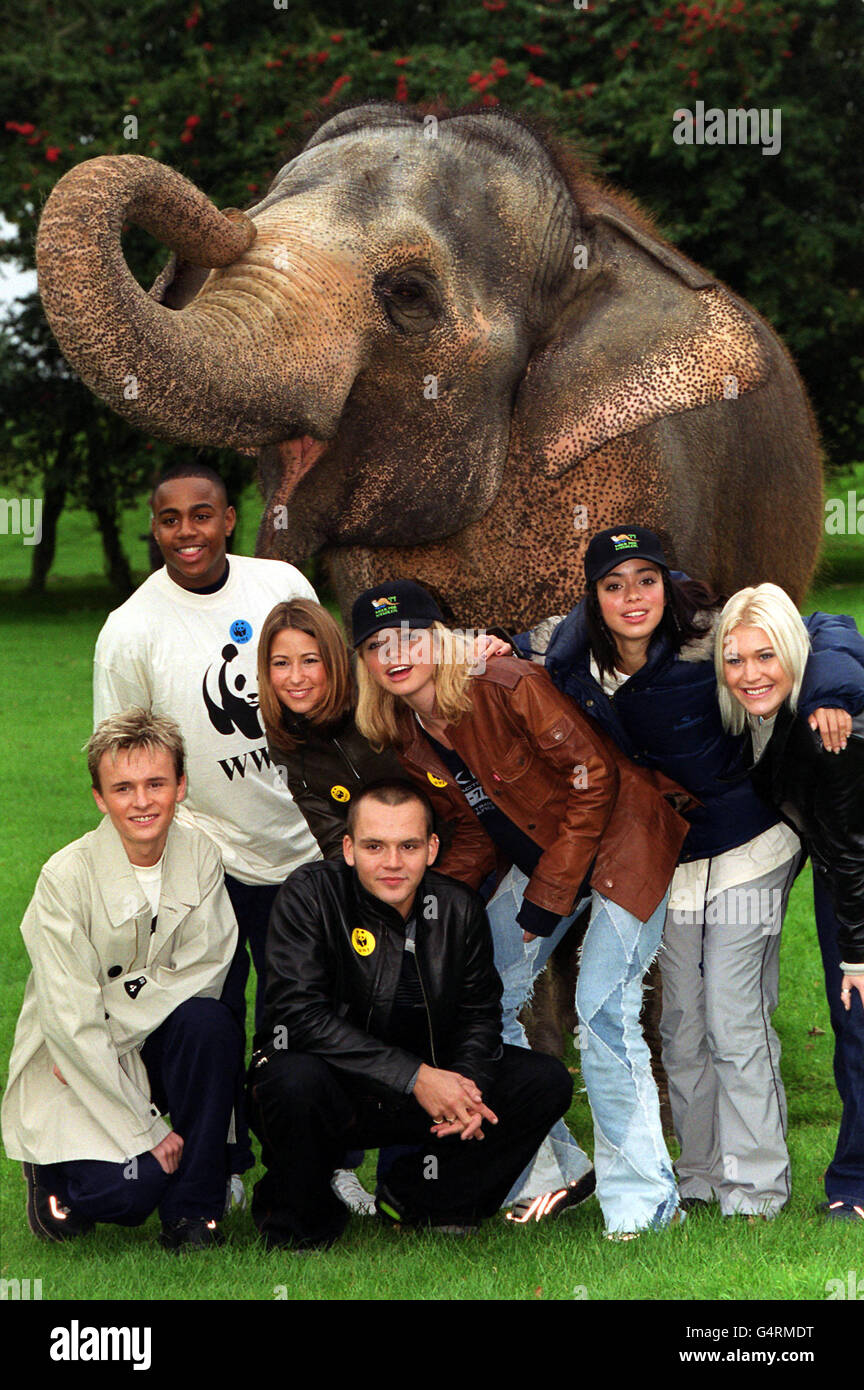 WILDLIFE S Club 7 Stock Photo - Alamy