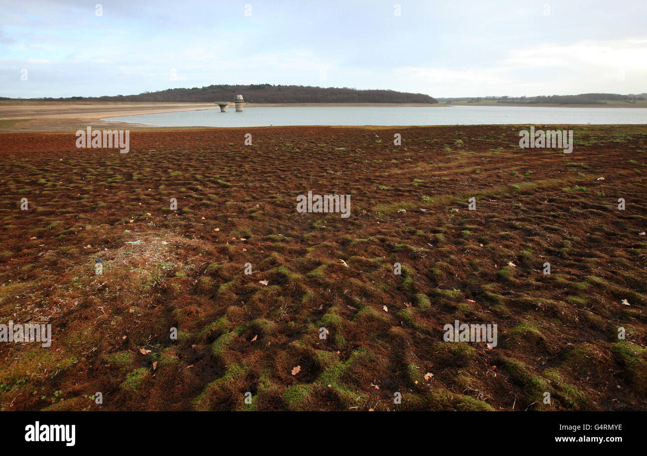 Bewl Water levels Stock Photo - Alamy