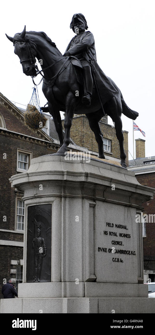 Duke of Cambridge statue Stock Photo - Alamy