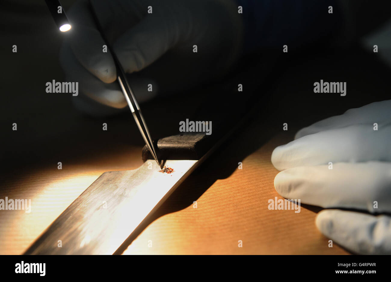 Previously unreleased photo dated 16/12/11 of a forensic scientist ...