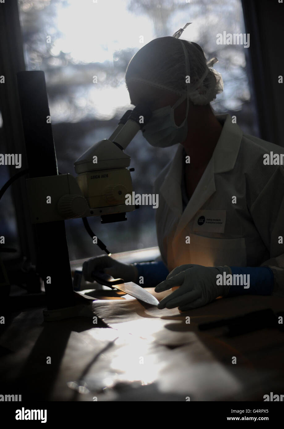 Previously unreleased photo dated 16/12/11 of a forensic scientist ...