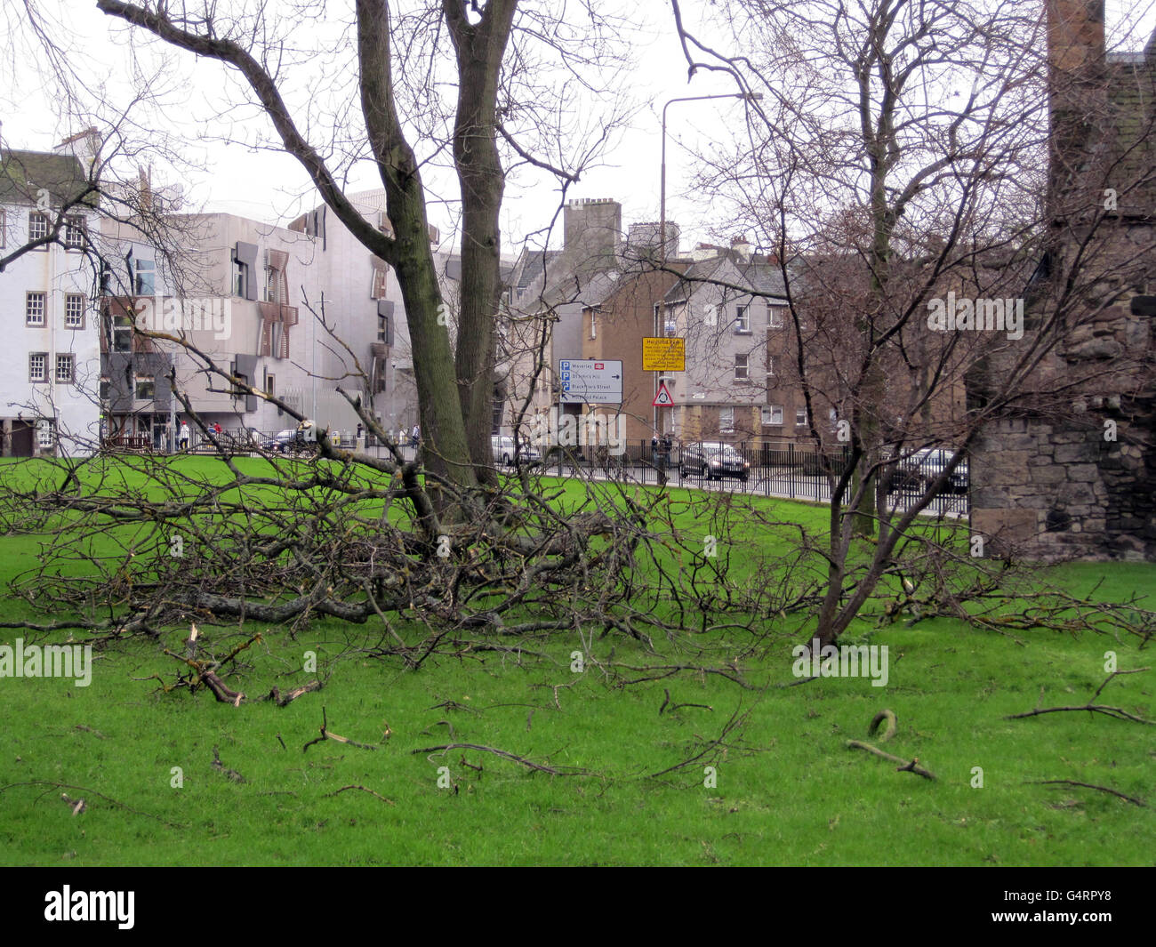 Storm damage in the grounds of the Palace of Holyroodhouse with the ...