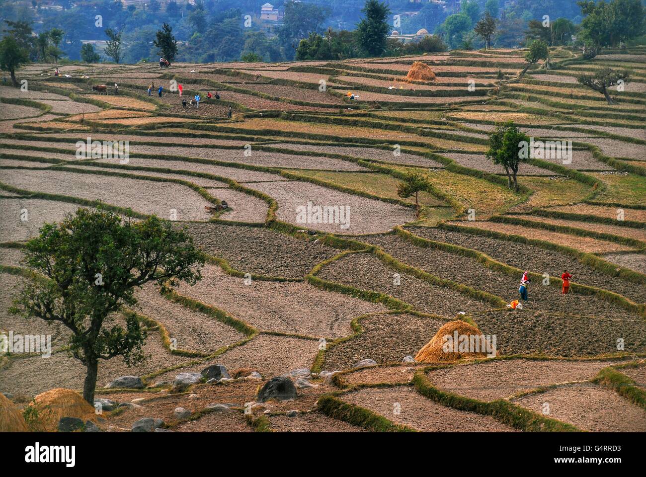 Countryside india hi-res stock photography and images - Alamy