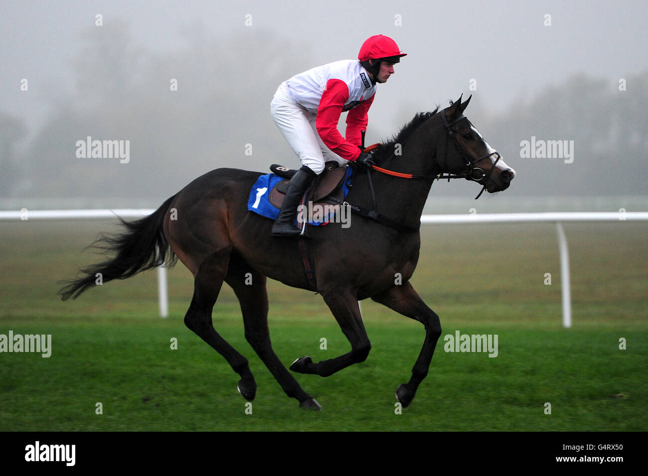 Huntingdon valley hi-res stock photography and images - Alamy