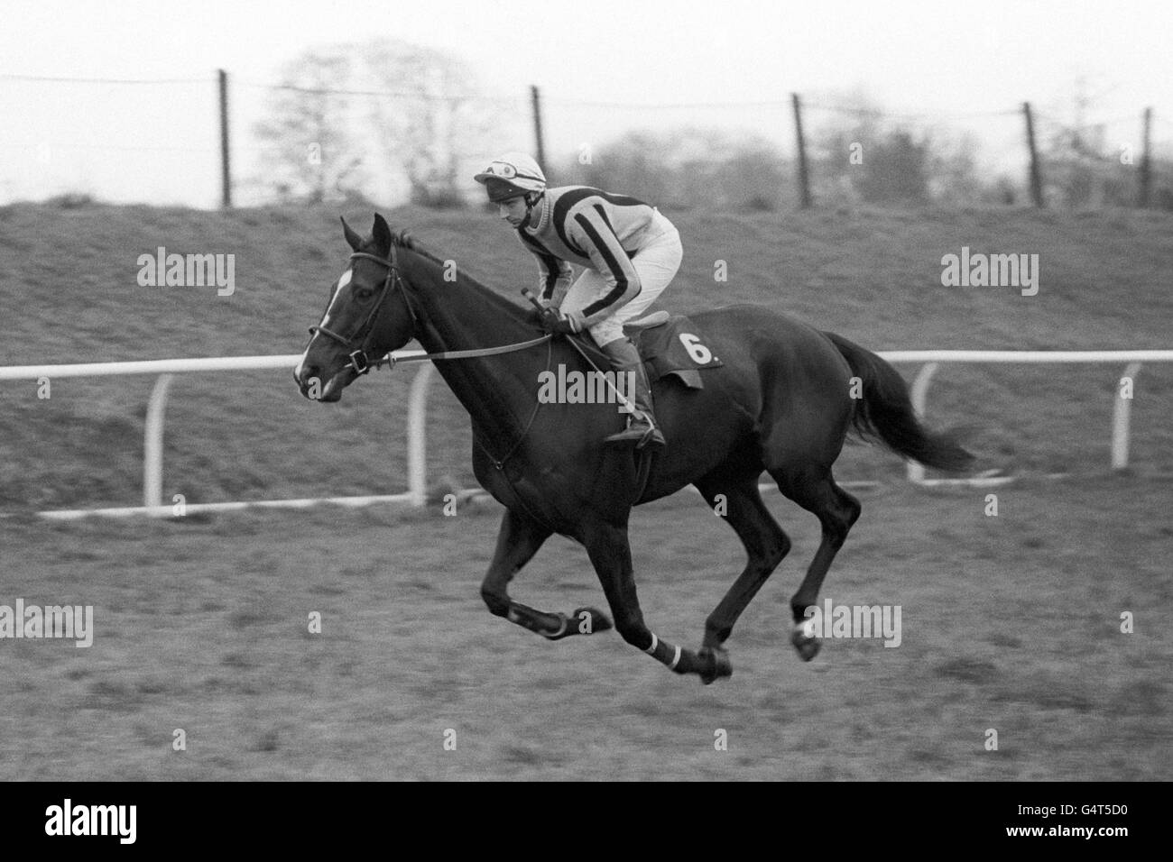 Midnight rider hi-res stock photography and images - Alamy
