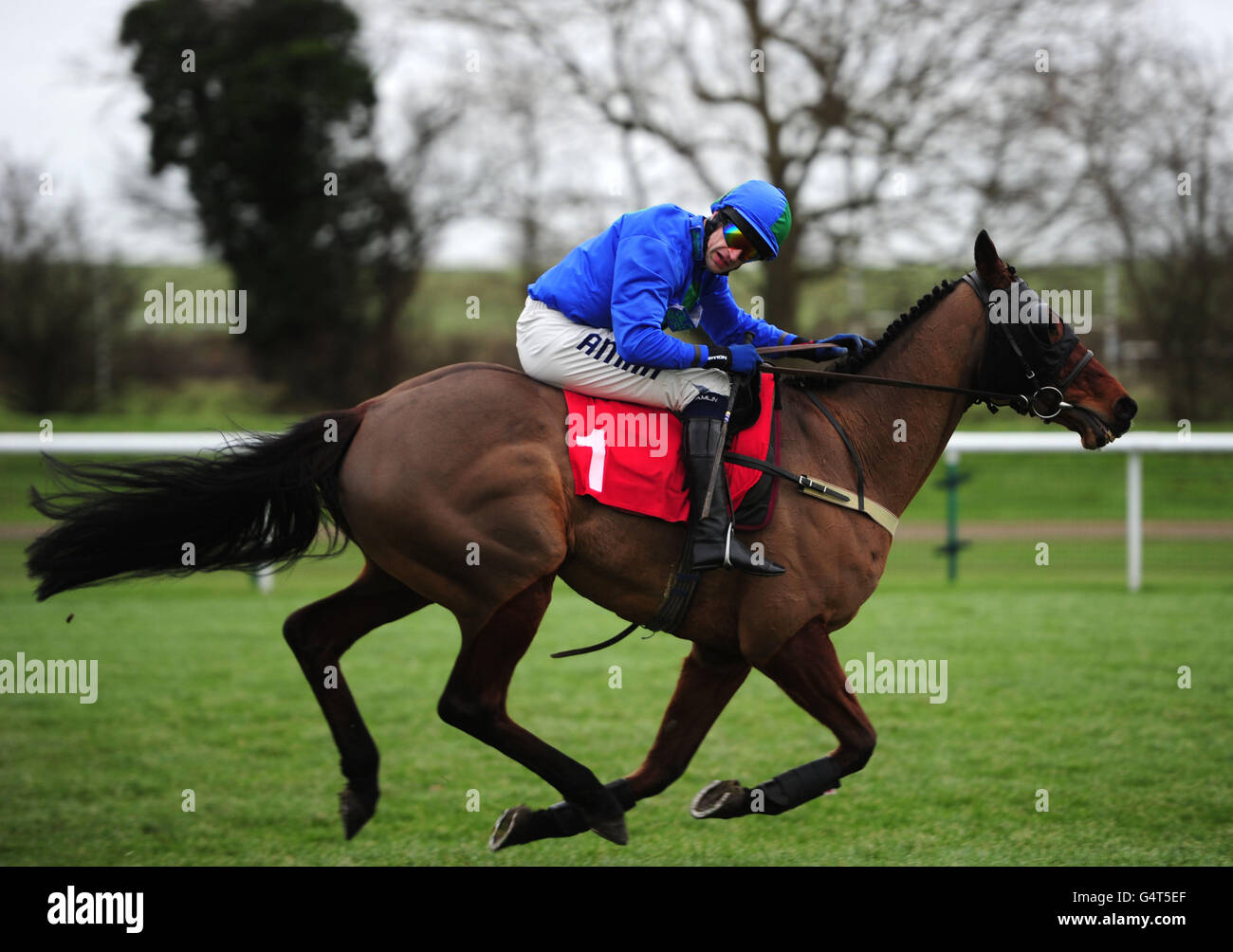 Horse Racing - Huntingdon Racecourse Stock Photo - Alamy