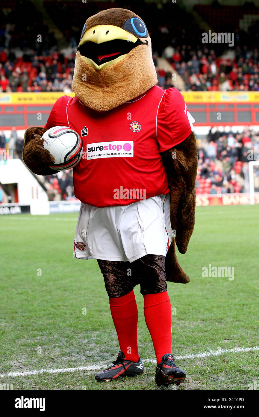 Walsall mascot swifty the swift hi-res stock photography and images - Alamy