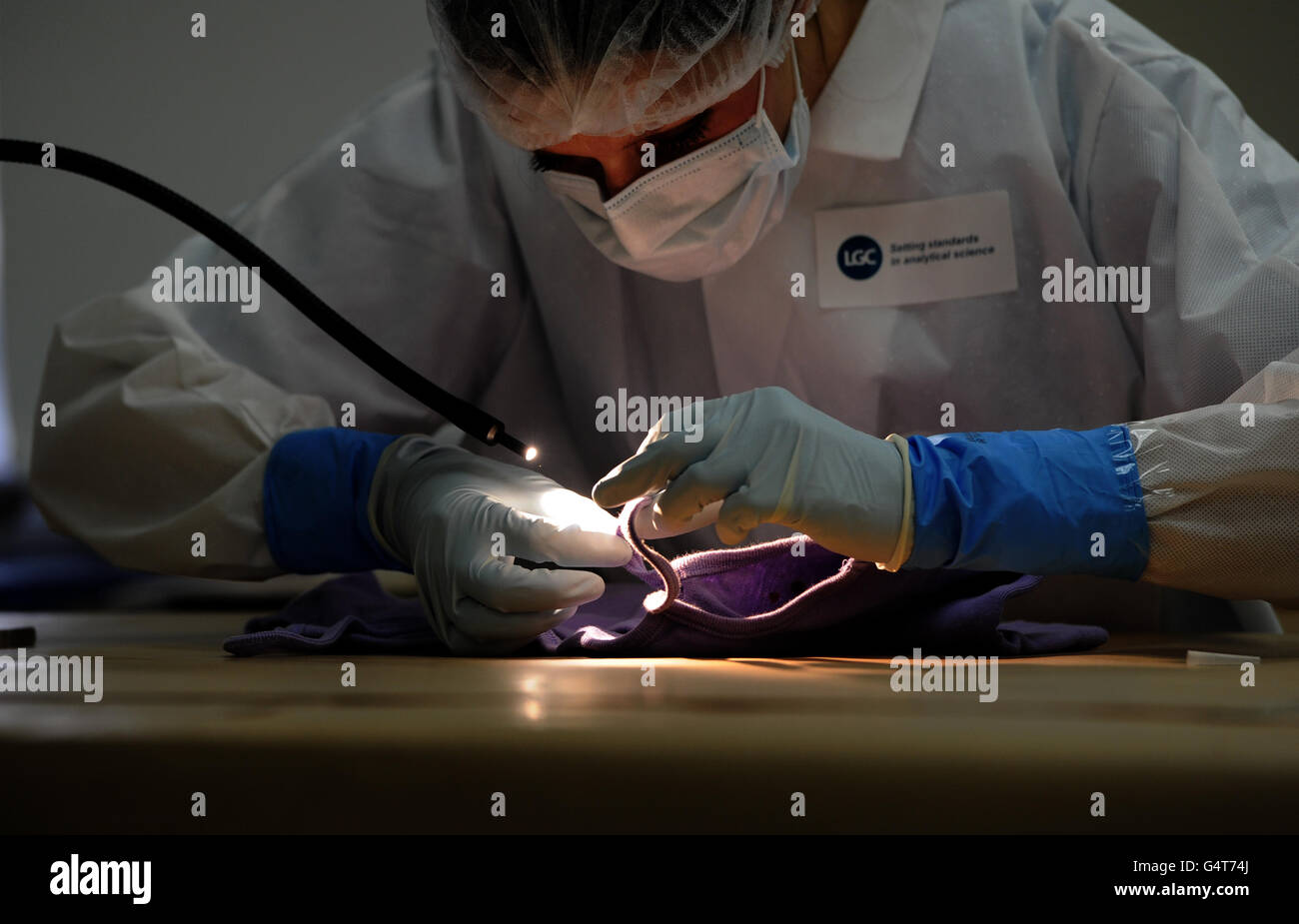 A forensic scientist examines an item of clothing in the LGC Forensics ...