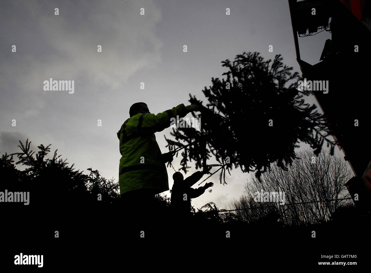 Christmas tree drop off hi-res stock photography and images - Alamy