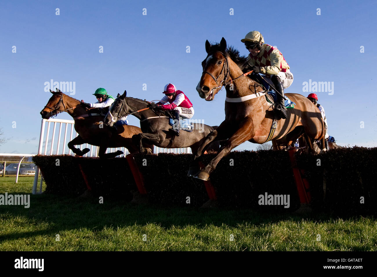 Horse Racing - Catterick Bridge Stock Photo - Alamy