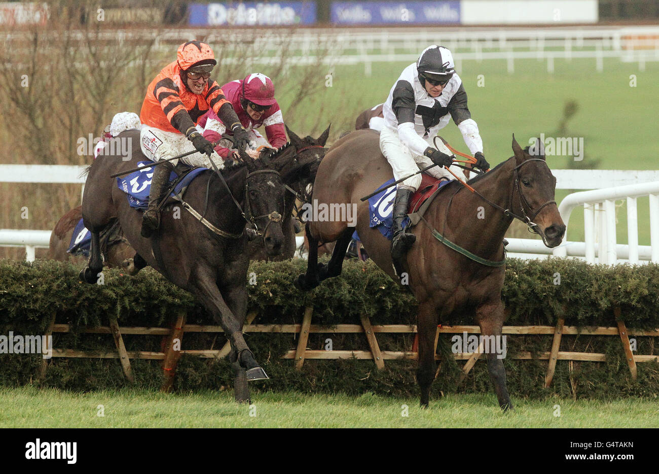 Istabraq horse hi-res stock photography and images - Alamy