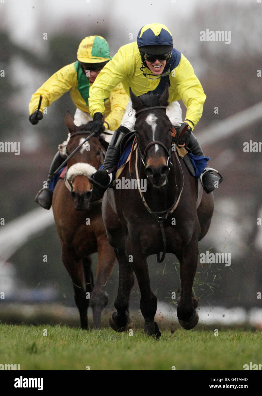 On horse istabraq hi-res stock photography and images - Alamy