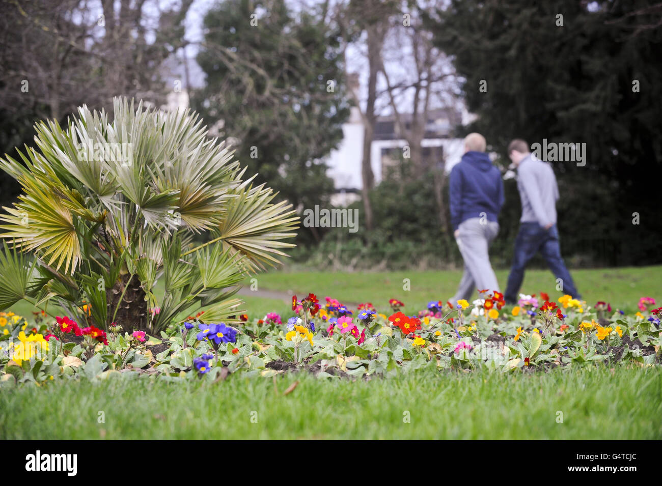 Storms lash Britain - January 5th Stock Photo - Alamy
