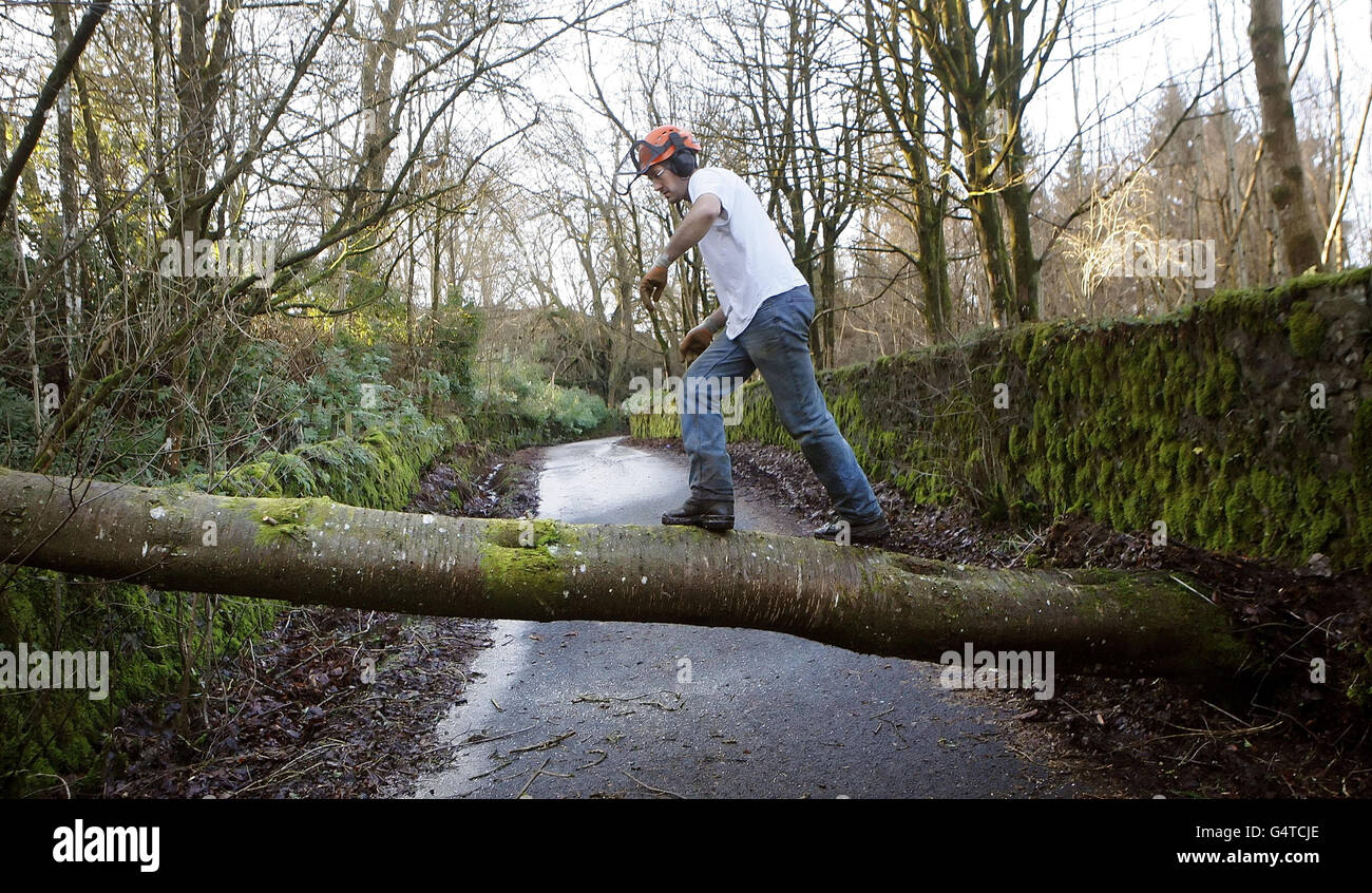 A man clears a fallen tree in Auchenbowie, Scotland, as the region ...