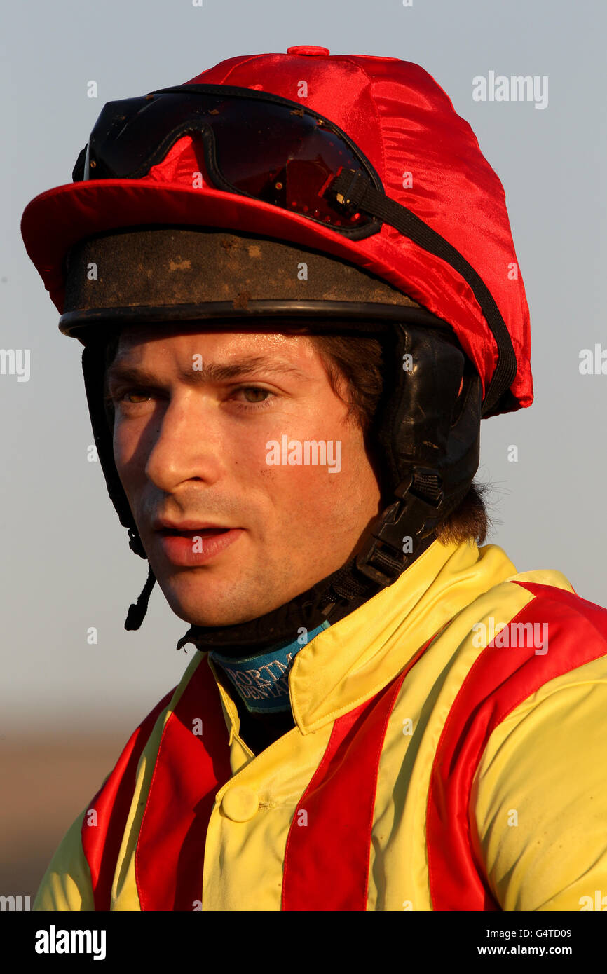 Horse racing the showcase cheltenham racecourse hi-res stock ...