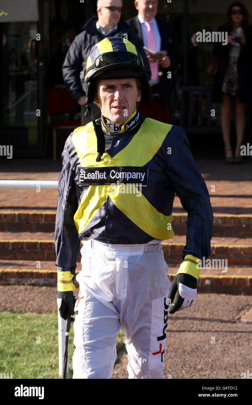Horse racing the showcase cheltenham racecourse hi-res stock ...