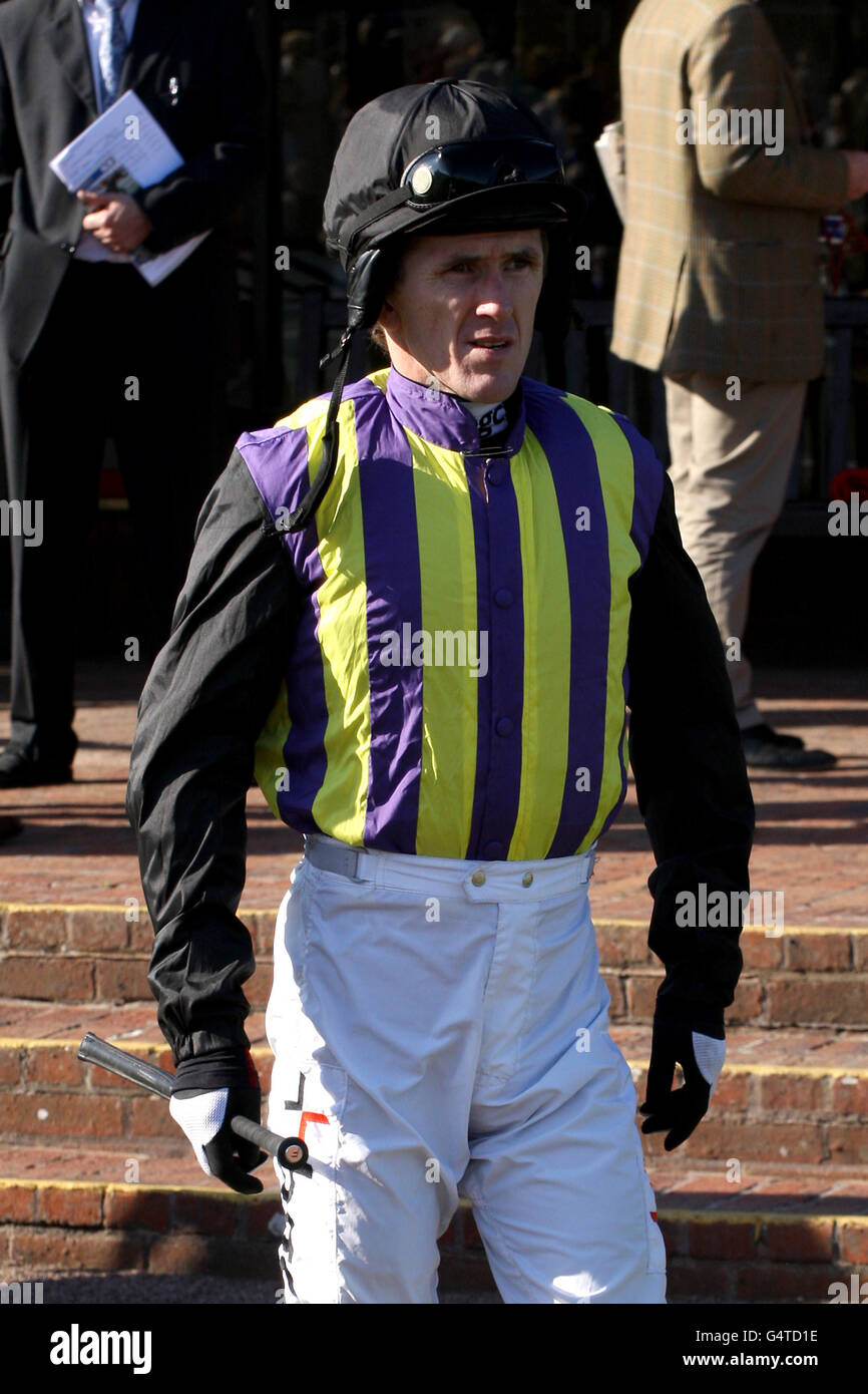 Horse racing the showcase cheltenham racecourse hi-res stock ...