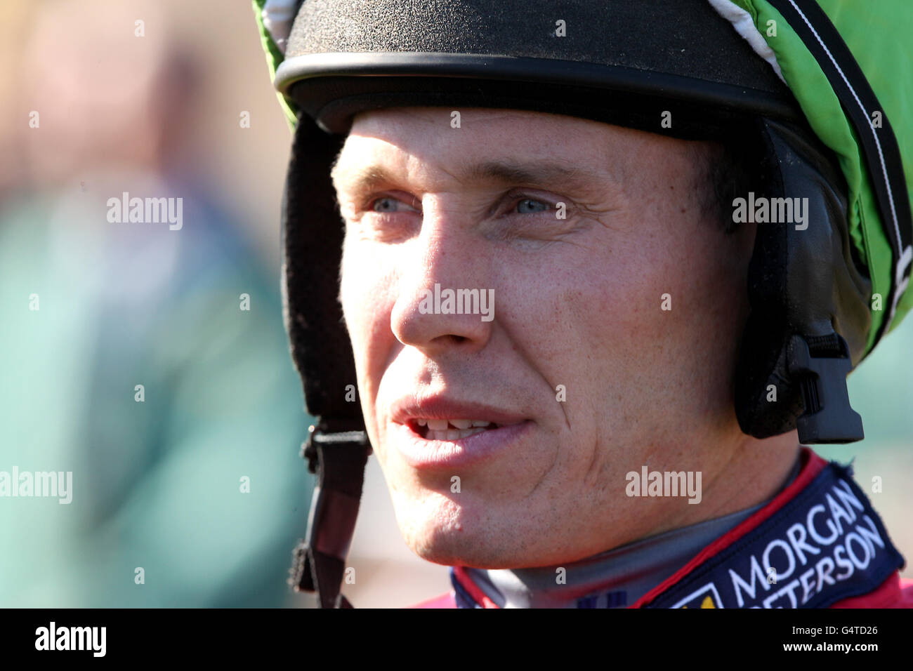 Horse Racing - The Showcase - Cheltenham Racecourse Stock Photo - Alamy