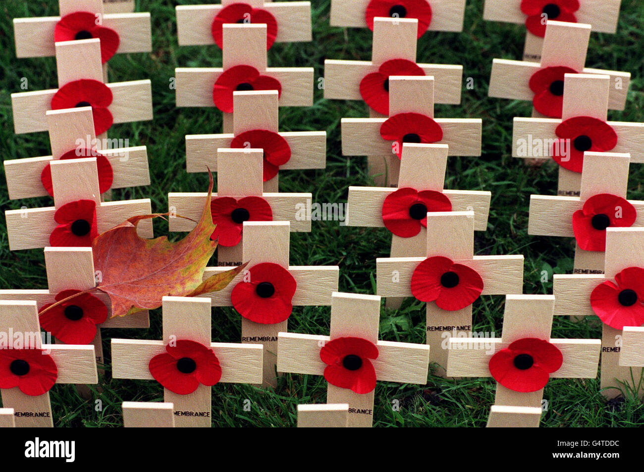 Miniature crosses outside London's Westminster Abbey, where they will ...