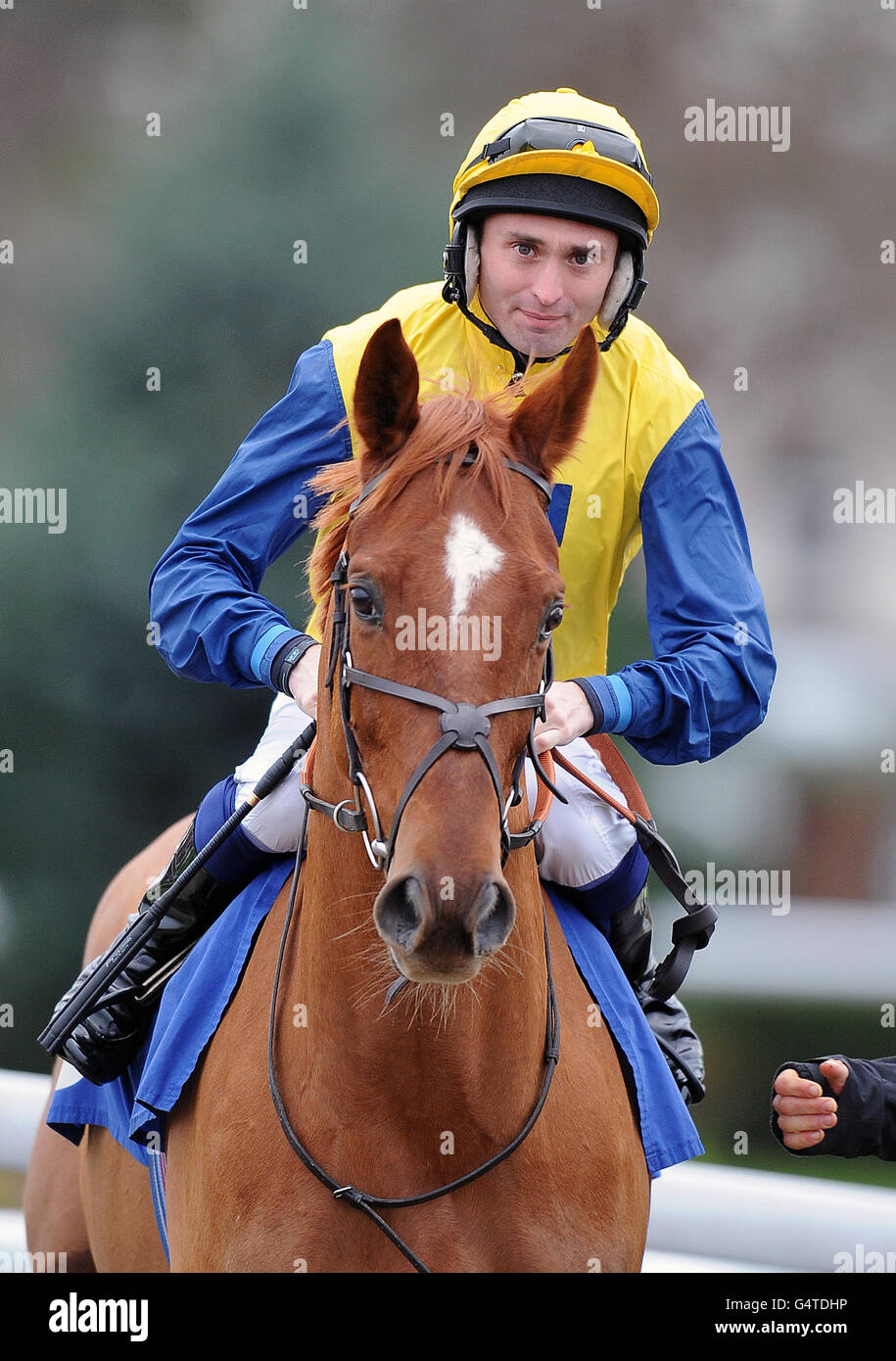 Jamie goldstein hi-res stock photography and images - Alamy