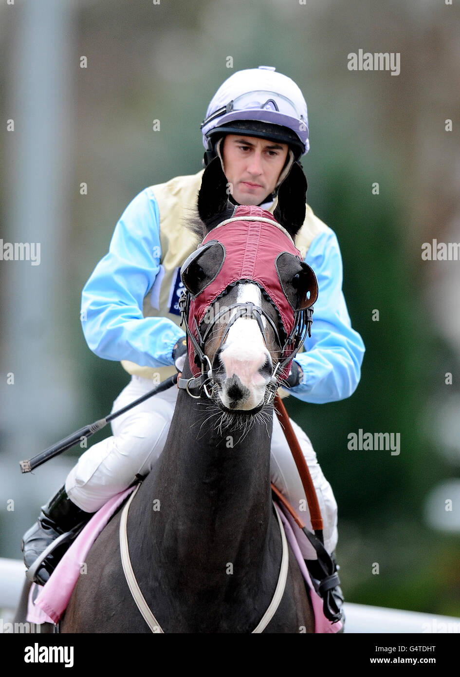 Catlin park hi-res stock photography and images - Alamy