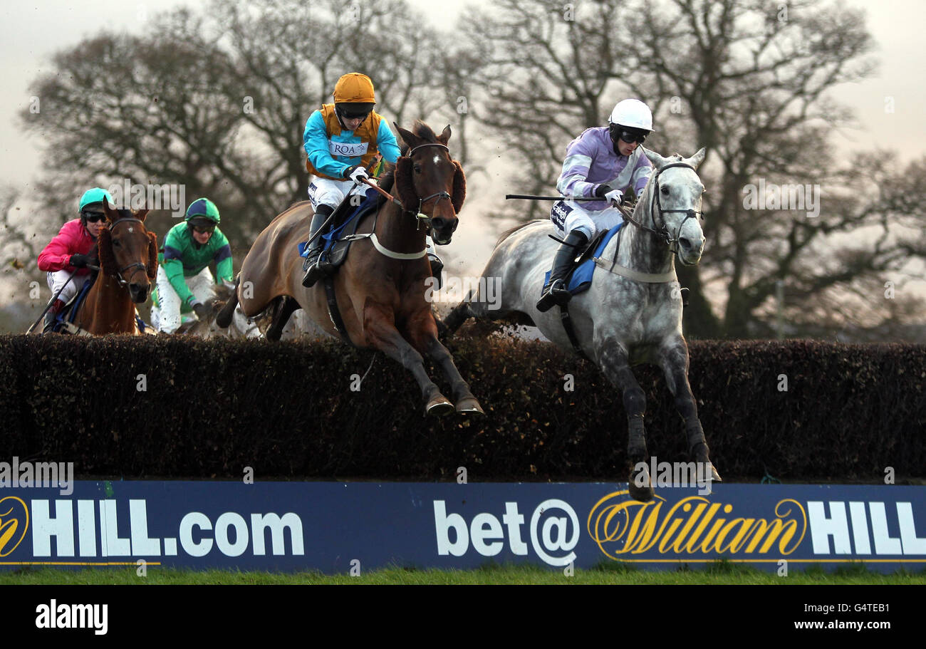 Taunton racecourse hi-res stock photography and images - Alamy