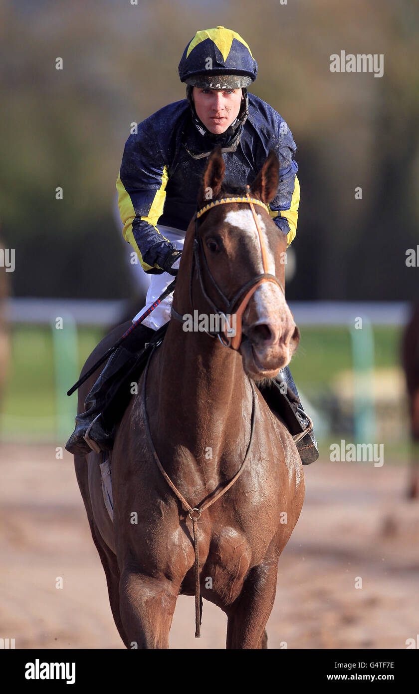 Jockey stephen donohoe hi-res stock photography and images - Alamy