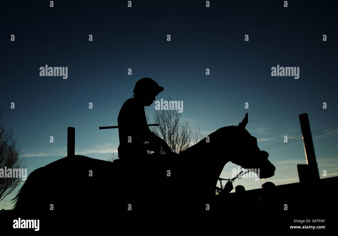 Horse Racing - Catterick Bridge. A horse a silhouetted as it is led ...