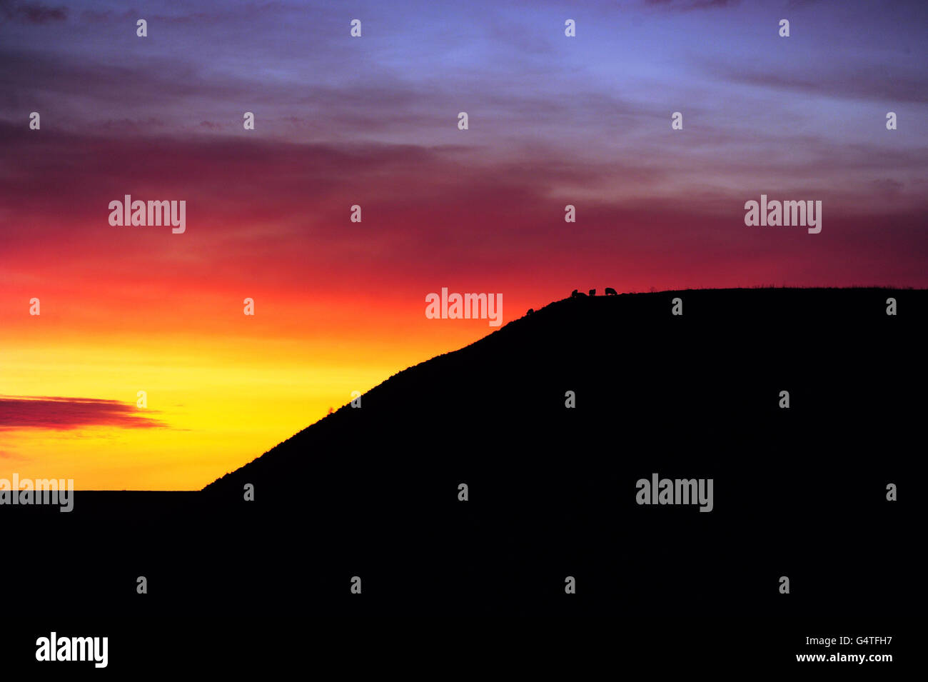 Winter weather - January 12th Stock Photo - Alamy