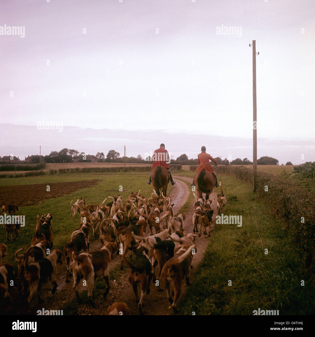 Cubbing High Resolution Stock Photography and Images - Alamy