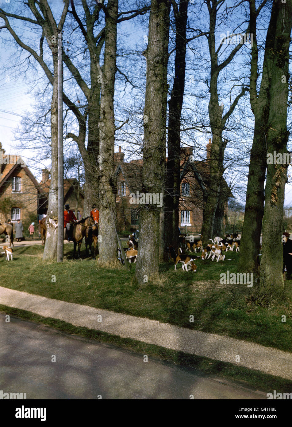 Hunting - Bicester Hunt - Buckinghamshire Stock Photo - Alamy