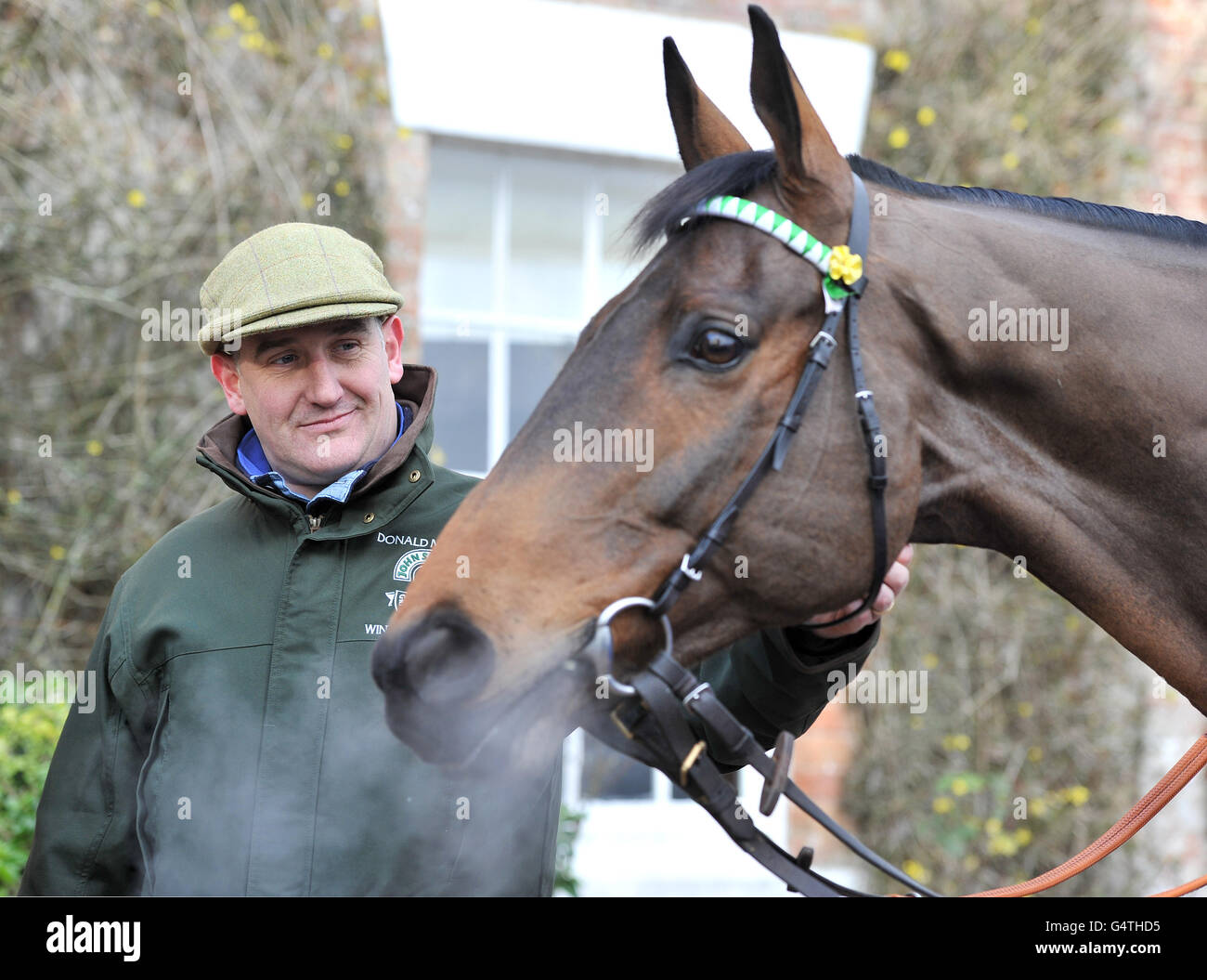 Donald mccain jnr horse ballabriggs stables bank house hi-res stock ...