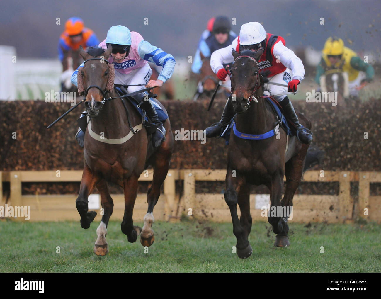 James reveley horse hi-res stock photography and images - Alamy