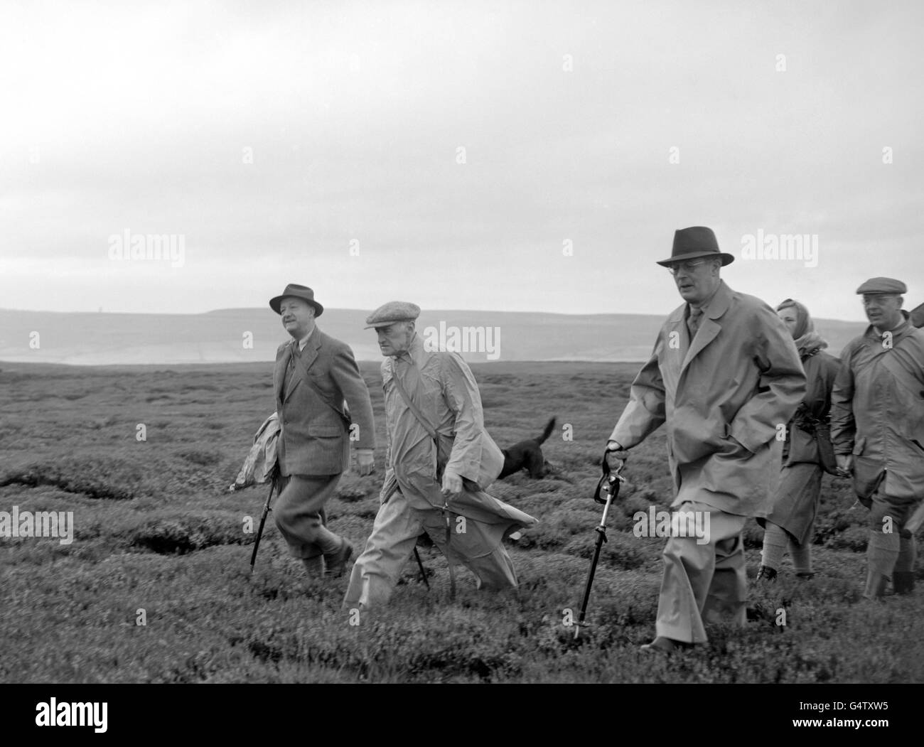 Grouse shooting moor Black and White Stock Photos & Images - Alamy
