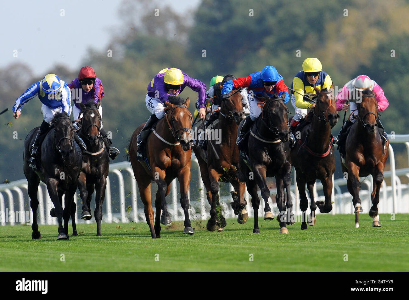 Ponty Acclaim ridden by Ted Durcan (3rd left) leads the rest of the ...