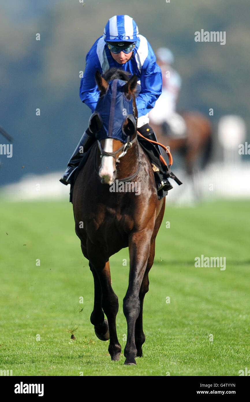 Jockey tadhg oshea at ascot racecourse hi-res stock photography and ...