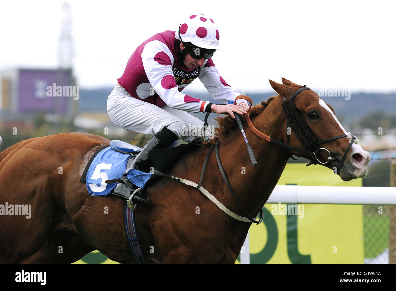 Horse Racing - totepool Day - Pontefract Racecourse Stock Photo - Alamy