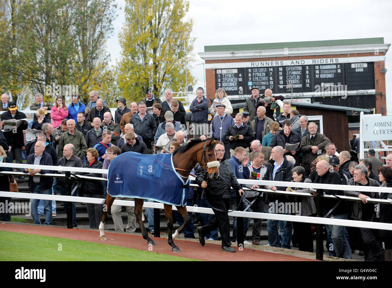 A general view as a horse is paraded around the parade ring at ...