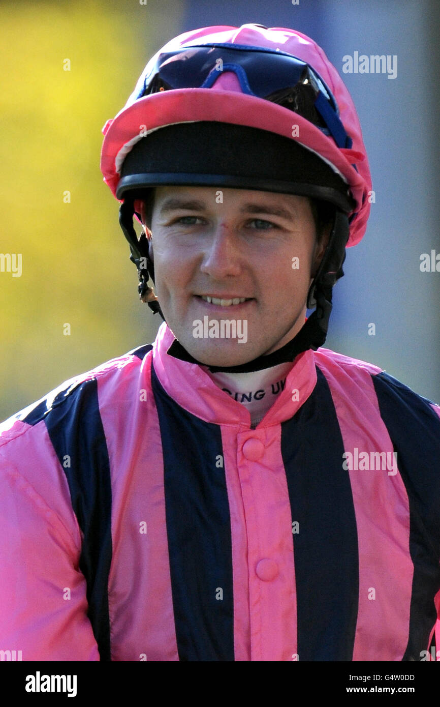 Jockey tom queally at ascot racecourse hi-res stock photography and ...