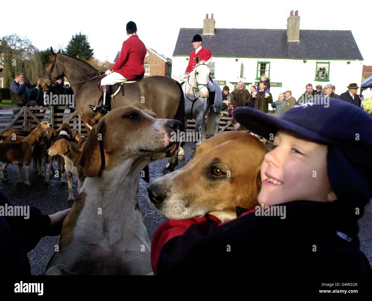 Hunting / Dogs- 2 Stock Photo - Alamy