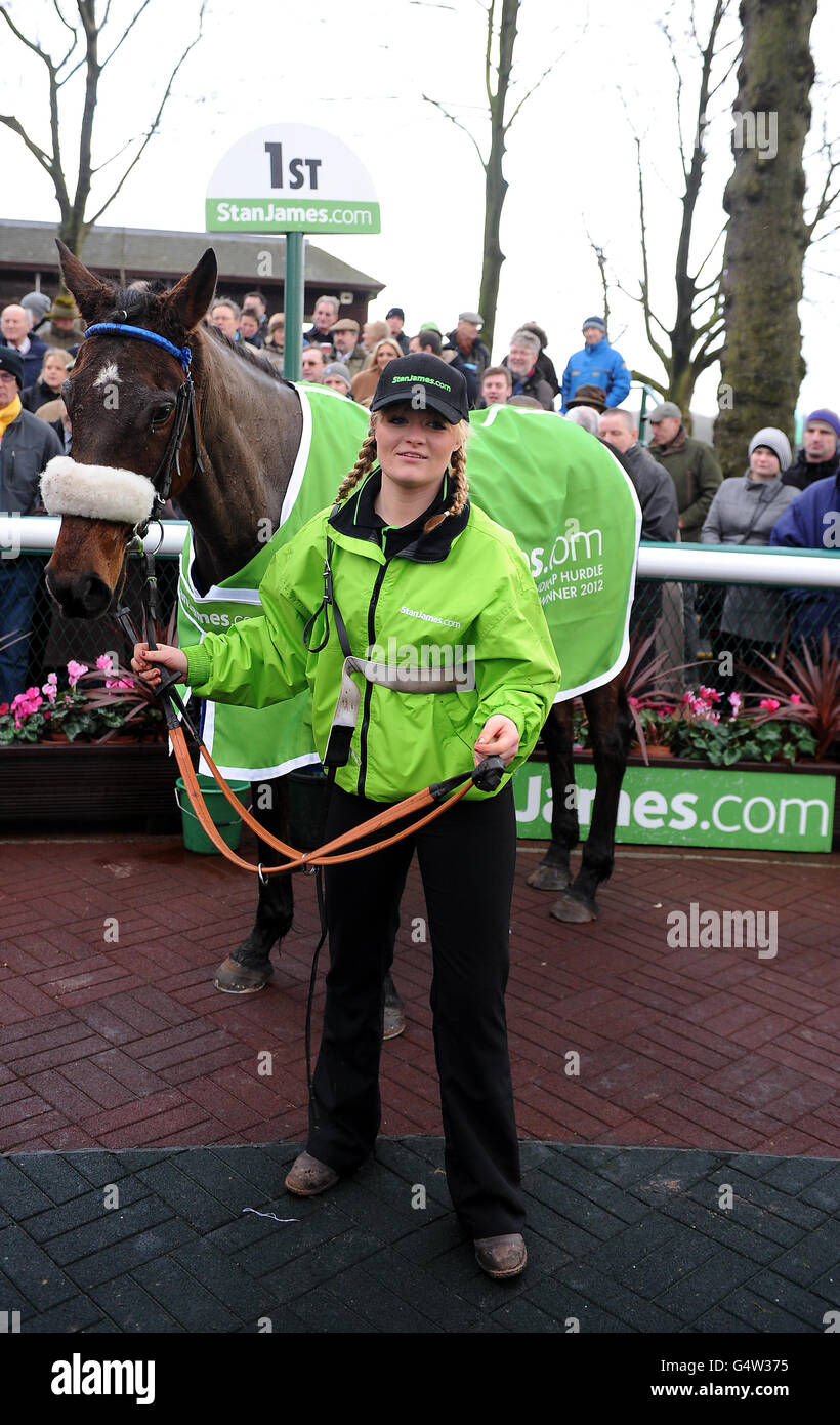 Race horse in winners enclosure hi-res stock photography and images - Alamy