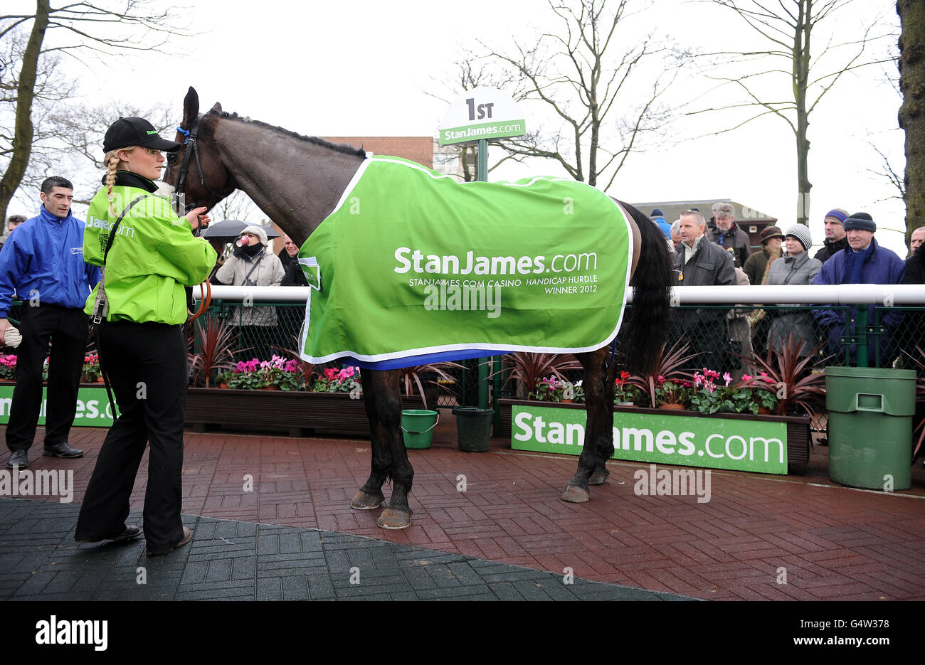 Race horse in winners enclosure hi-res stock photography and images - Alamy